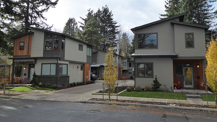 DOZA Citywide Design Guidelines